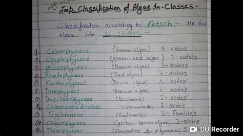 Classification Of Algae Explained In A Simple Way