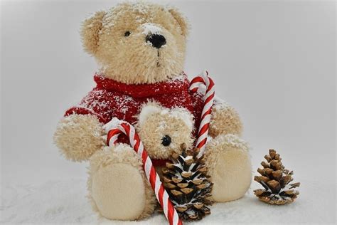 무료 사진 크리스마스 장식 휴일 봉 제 눈 눈송이 테디 베어 장난감 장난감 겨울 귀여운
