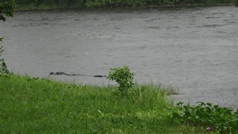 Blick Von Der Terrasse Au Amethyst Resort Passikuddah Passikudah