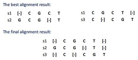 frontiers efficient multiple sequences alignment algorithm generation