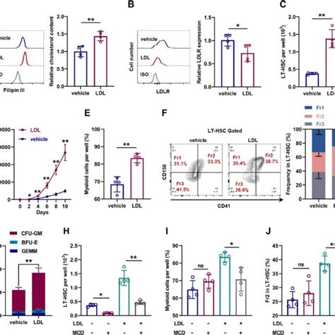 Ferroptosis Inducer Administration Restores Maintenance And