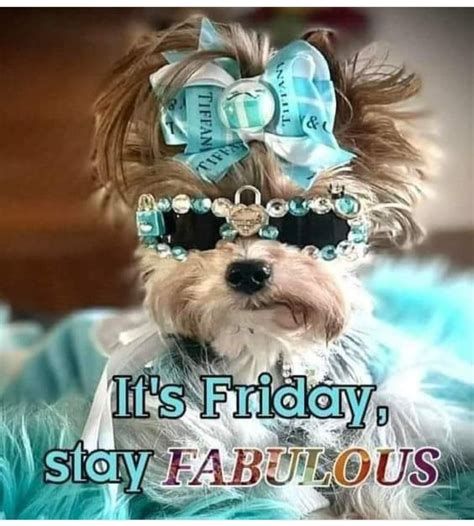 Best Friday Memes For The End Of The Week Artofit