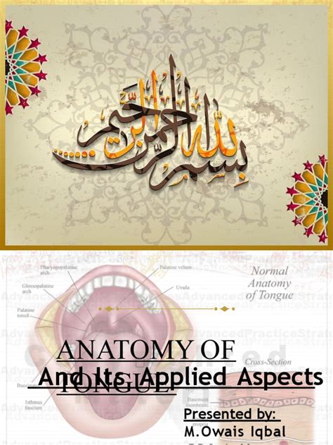 tongue ppt by m owais iqbal bds 1st year pdf