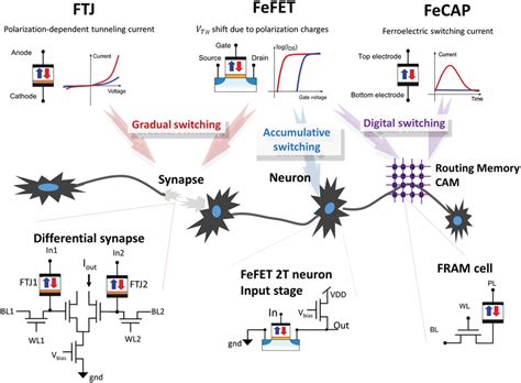 The Spontaneous Ferroelectric Polarization That Occurs In Ferroelectric Download Scientific