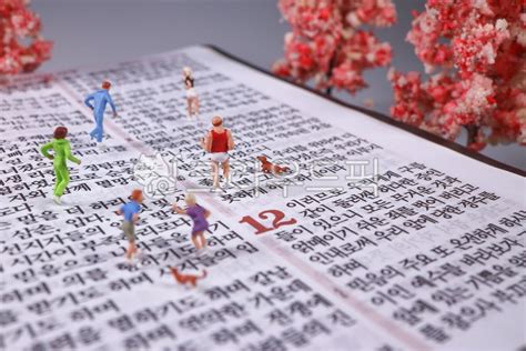 믿음 경주 믿음의경주 기독교 개신교 사진 이미지 일러스트 캘리그라피 Imagine39작가