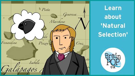 Unveiling The Secrets Of Brainpop Natural Selection Quiz Answers