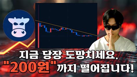 카우프로토콜 비상 이제 말하기 입아픕니다 200원되기전에 파세요 빨리 Youtube