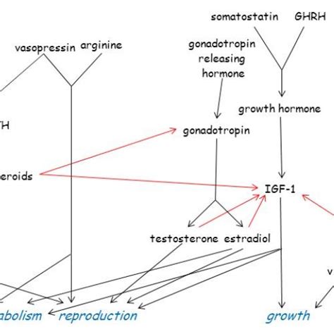 Stot Re Testing Requirements Under Reach By Tonnage Level Download