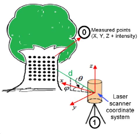 Schematic Representation Of Geometric Coordinates X Y Z And Download Scientific Diagram