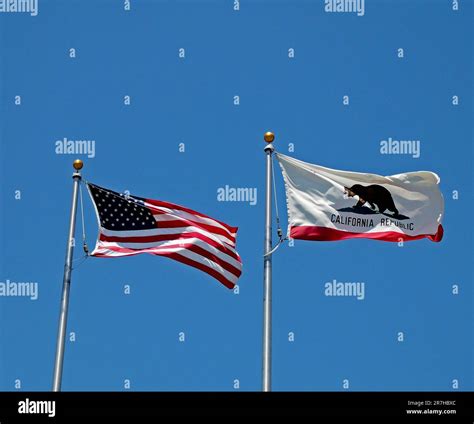 Grizzly Bear Flag