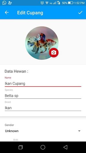 Github Project Uas Android Apk Hewanku Uas Pemrograman Android Dengan Aplikasi Berjudul