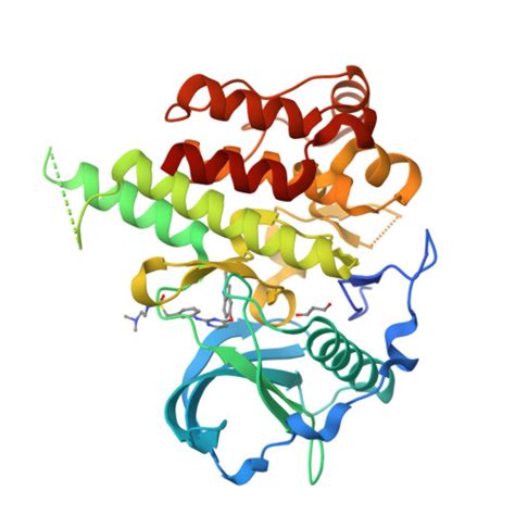 Rcsb Pdb 8jot Crystal Structure Of Csf 1r Kinase Domain With Sulfatinib