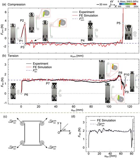 Static Analysis Of The Single Prestressed Shell And Metamaterials A