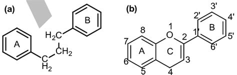A Flavonoid Framework B Numbering System Download Scientific Diagram