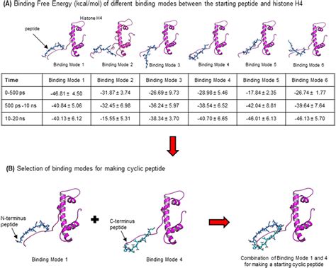 Structure Based Peptide Design Targeting Intrinsically Disordered