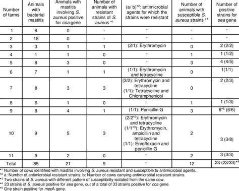 Relationship Of Staphylococcus Aureus Involved In The Pathogenesis Of Download Scientific