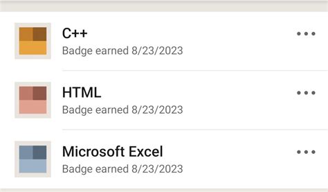 Prabhat Kumar Singh On Linkedin Skills Linkedln Badge C Html Msexcel