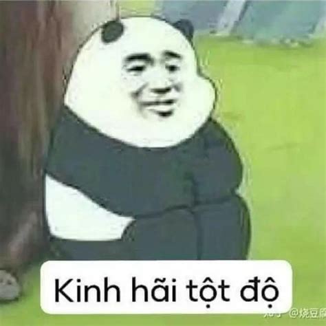 Khám Phá Ngay 69 Meme Trung Quốc Hài Hước Nhất