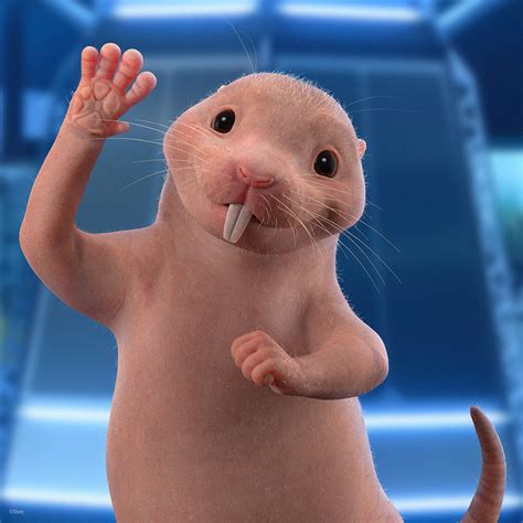 Nancy Cartwright Retorna Como Rufus Em Kim Possible Animation Magazine