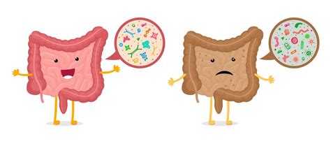 Microbiome Vector Art Icons And Graphics For Free Download