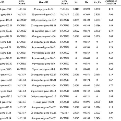Gene Duplication Analysis Results Of Blueberry Chs Genes Mya Million Download Scientific