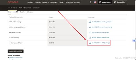 Jenkins入门指南 从下载到使用 一步到位的持续集成利器jekenis 最新版本 Csdn博客