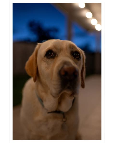 Mark Luyt Markluyt • Instagram Photos And Videos