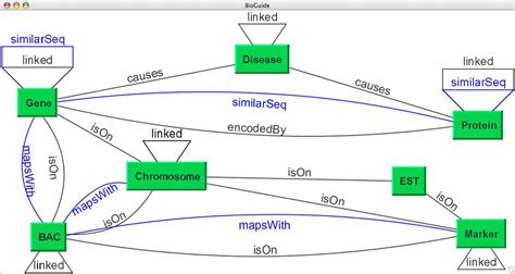 Entities Graph Fragment Bioguides Graphical User Interface