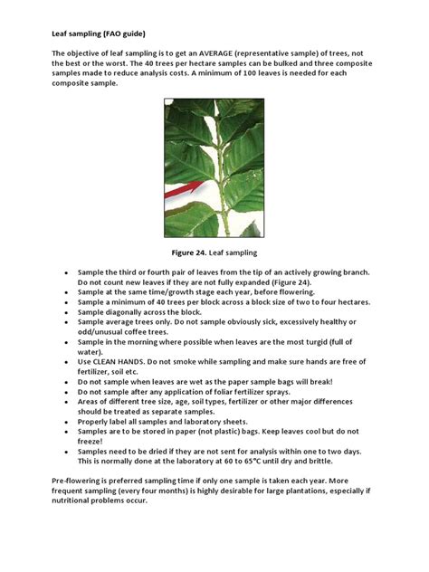 Leaf Sampling Pdf Leaf Trees
