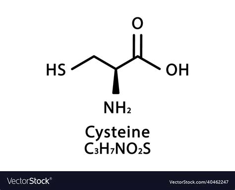 Cysteine Structure