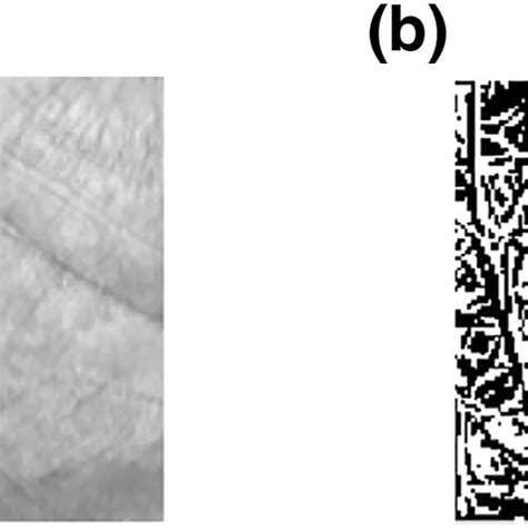 receiver operating characteristic roc curves of different palmprint download scientific