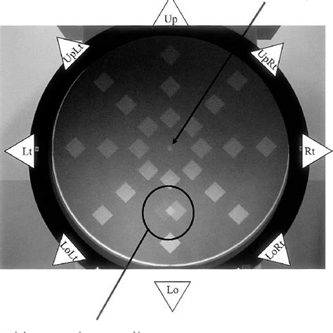 the central fixation target and peripheral targets one central fixation