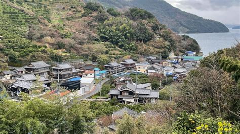 みかんの段々畑と斜面の村は愛媛県南部を代表する風景だ Cyclowired