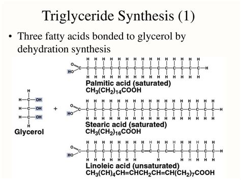Chapter 2 The Chemistry Of Life Ppt Download
