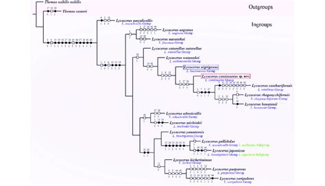 Results Of Mp Analysis One Of 41 Most Parsimonious Trees L118