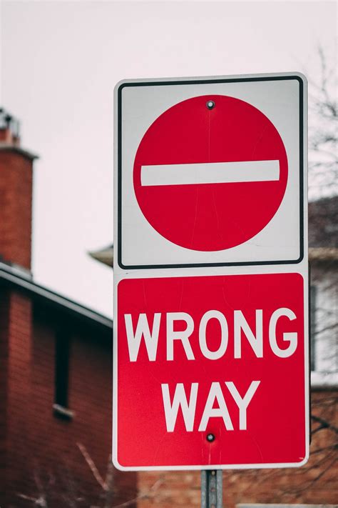 Why Embracing Mistakes Is Important To Be Successful By Timeofarticle