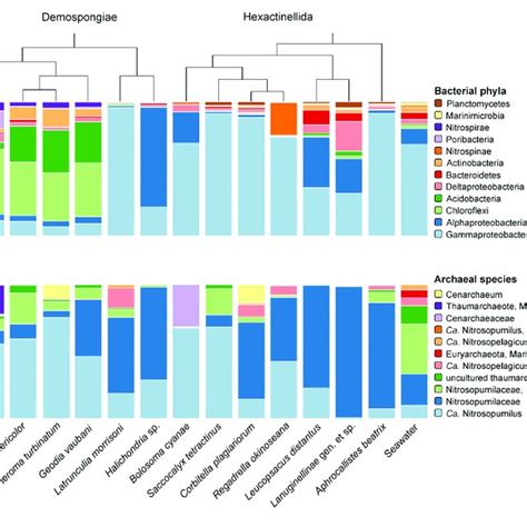 Principle Of Illumina Sequencing Sequencing By Synthesis A Flow Download Scientific