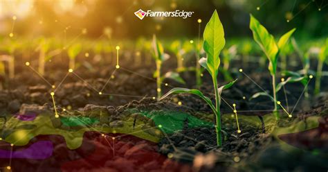 6 Reasons To Use Variable Rate Technology Farmers Edge