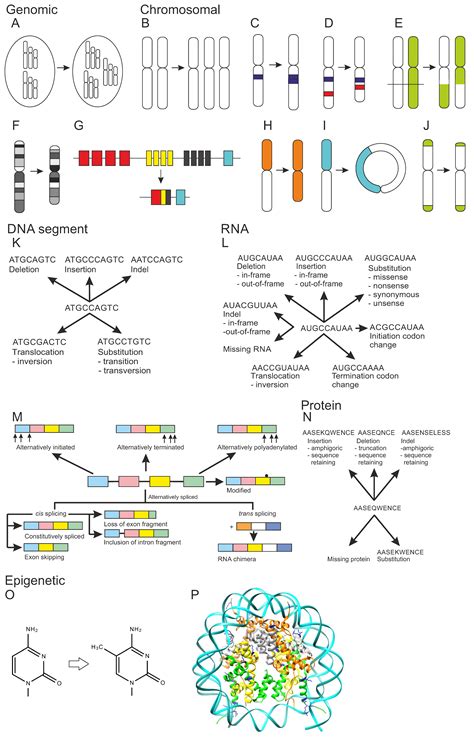 Individual Genetic Heterogeneity