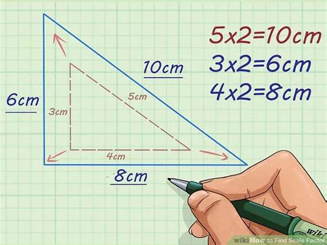 Scale Factors Copies Artofit