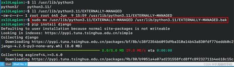 Python教程：解决pip安装包时报错：error Externally Managed Environment This