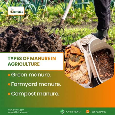 A Comprehensive Guide To Manure Types In Modern Farming