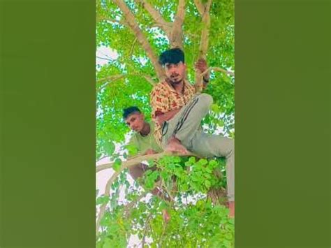 hum pani kyu pite hai 🤣 #viral #comedy #shortvideos #funny #reels #reelsindia #shorts - YouTube