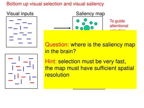 ppt a bottom up visual saliency map in the primary visual cortex
