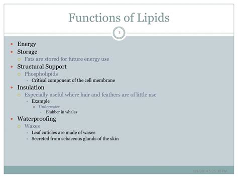 PPT Lipids PowerPoint Presentation Free Download ID 3086653