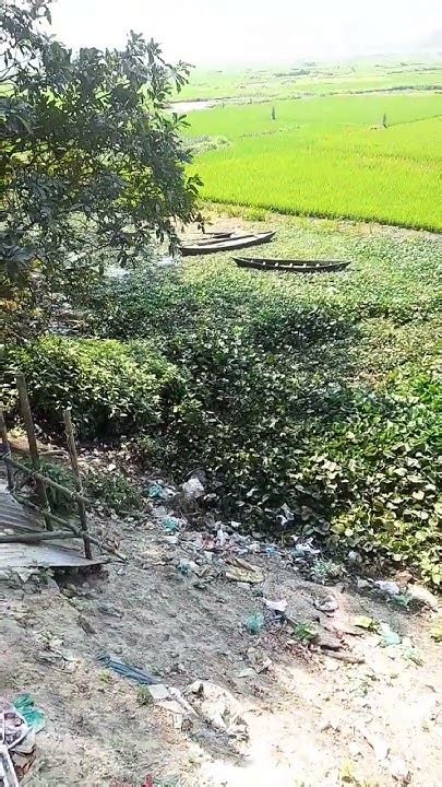 বেশি বেশি দোয়া পাট করবেন সবাই আমিন Youtube