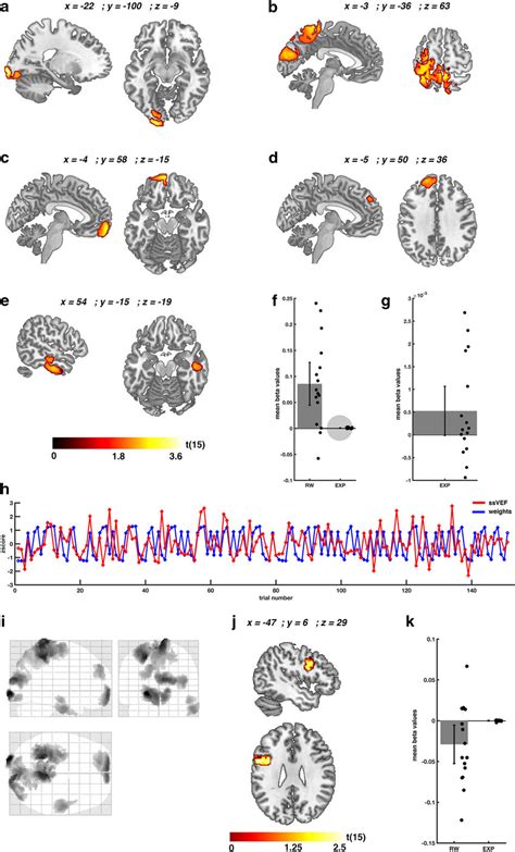 Trace Conditioning Experiment A E Sagittal And Axial Slices Of The
