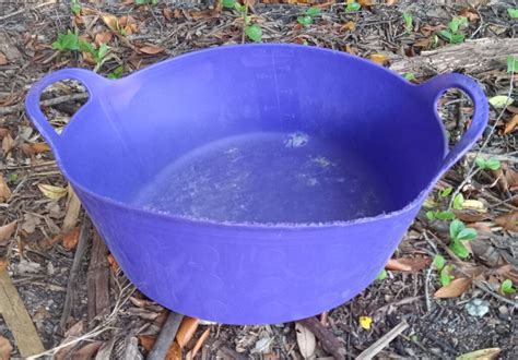 The Best Rabbit Nest Box Eat The Sand