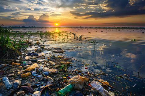 How Microbial Source Tracking Helps The Environment Awesome