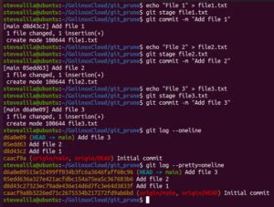 The Ins And Outs Of The Git Prune Command Explained GoLinuxCloud